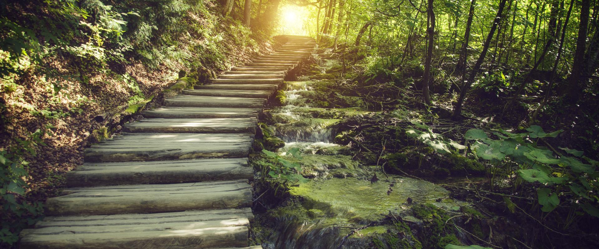 Client Login | PWA Financial